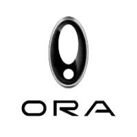 GWM ORA car leasing deals National Fleet Services